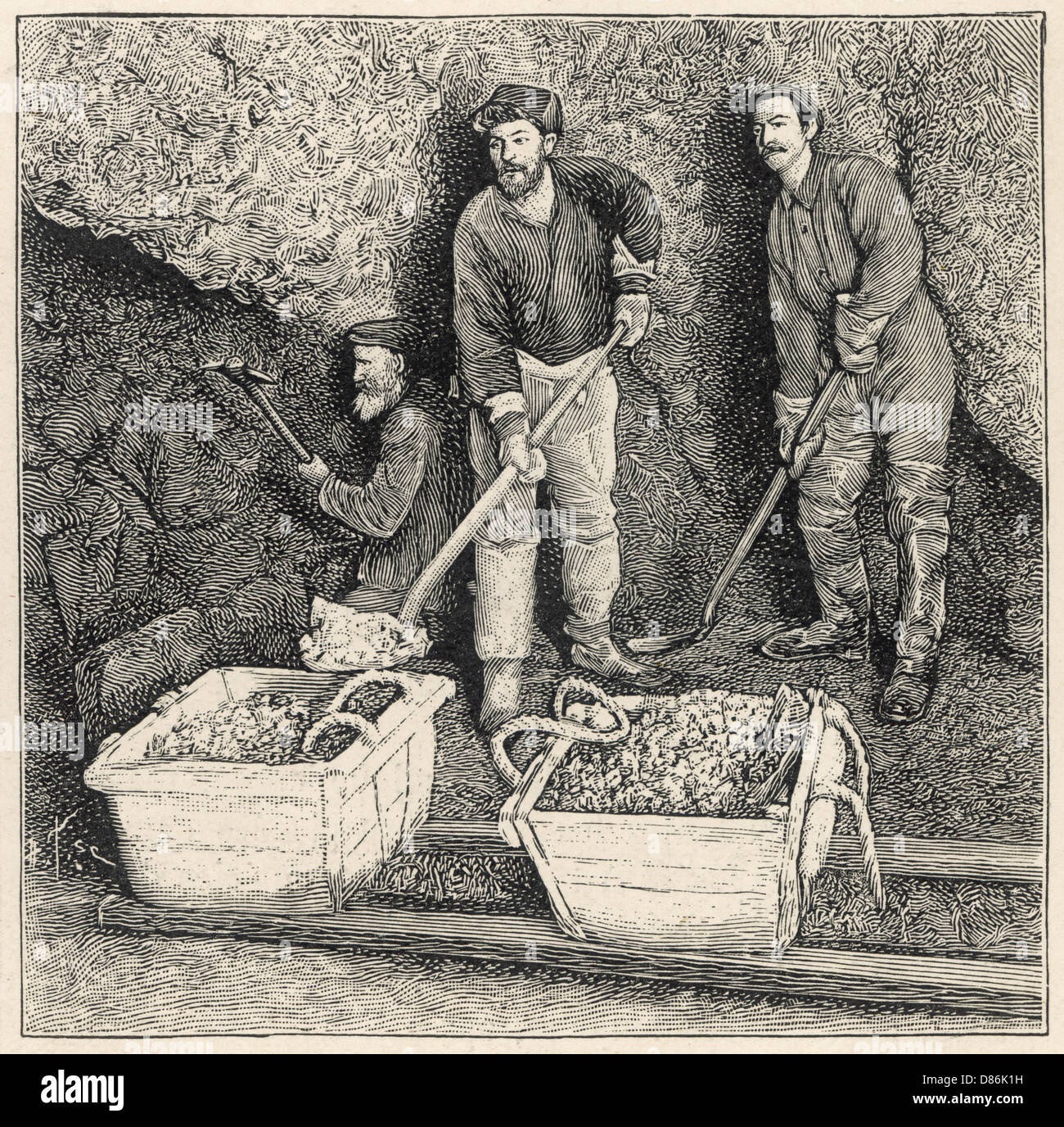 Gold Prospectors - Canada Stock Photo - Alamy