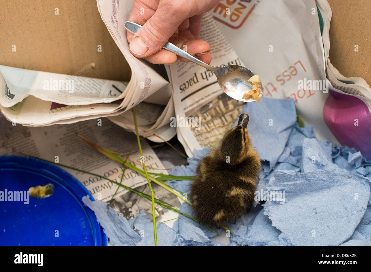 Lost and found box hi-res stock photography and images - Alamy