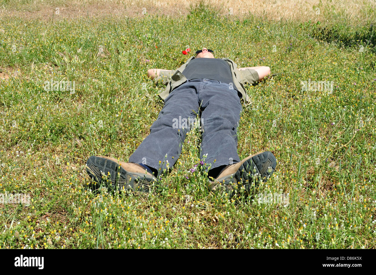 Man enjoying the sunshine. Sunbathing in green field with blooming ...