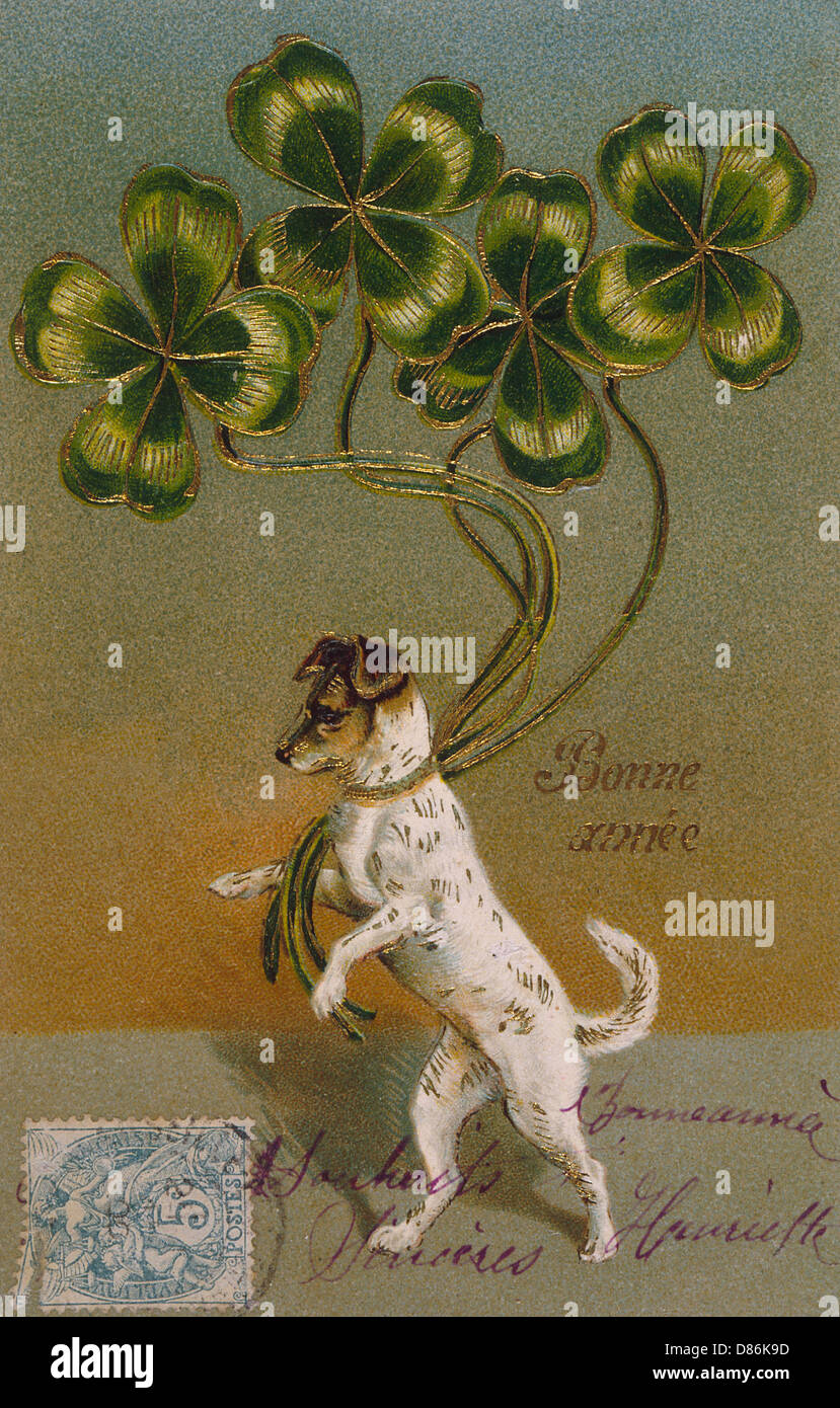 DOG AND CLOVER Stock Photo - Alamy