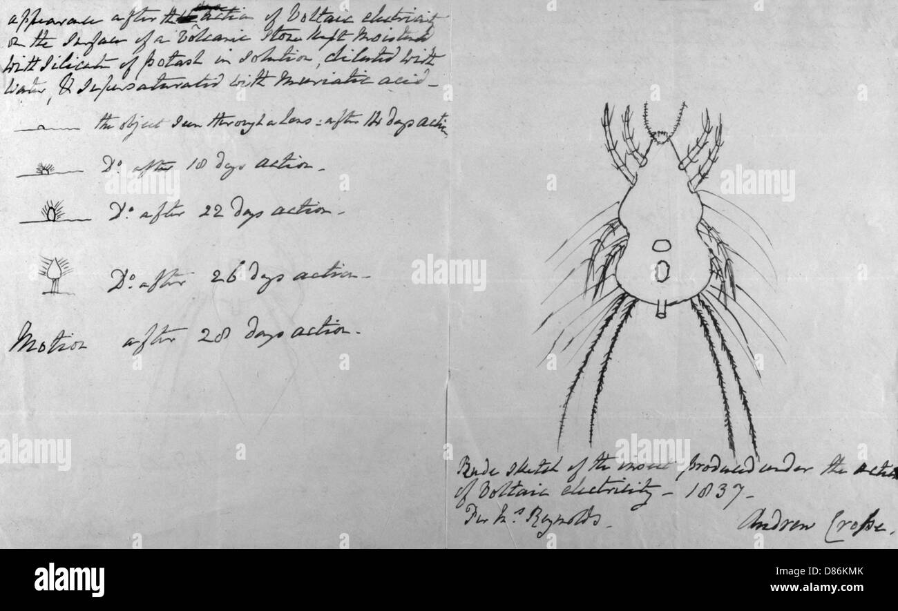 See insects Black and White Stock Photos & Images - Alamy