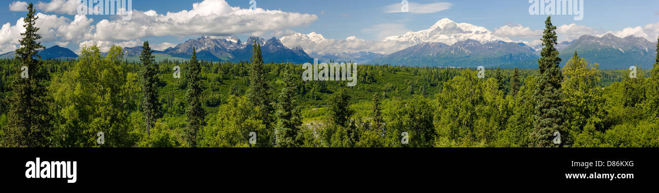Panorama view Alaska Range: Foraker, Hunter, Denali (Mt. McKinley ...