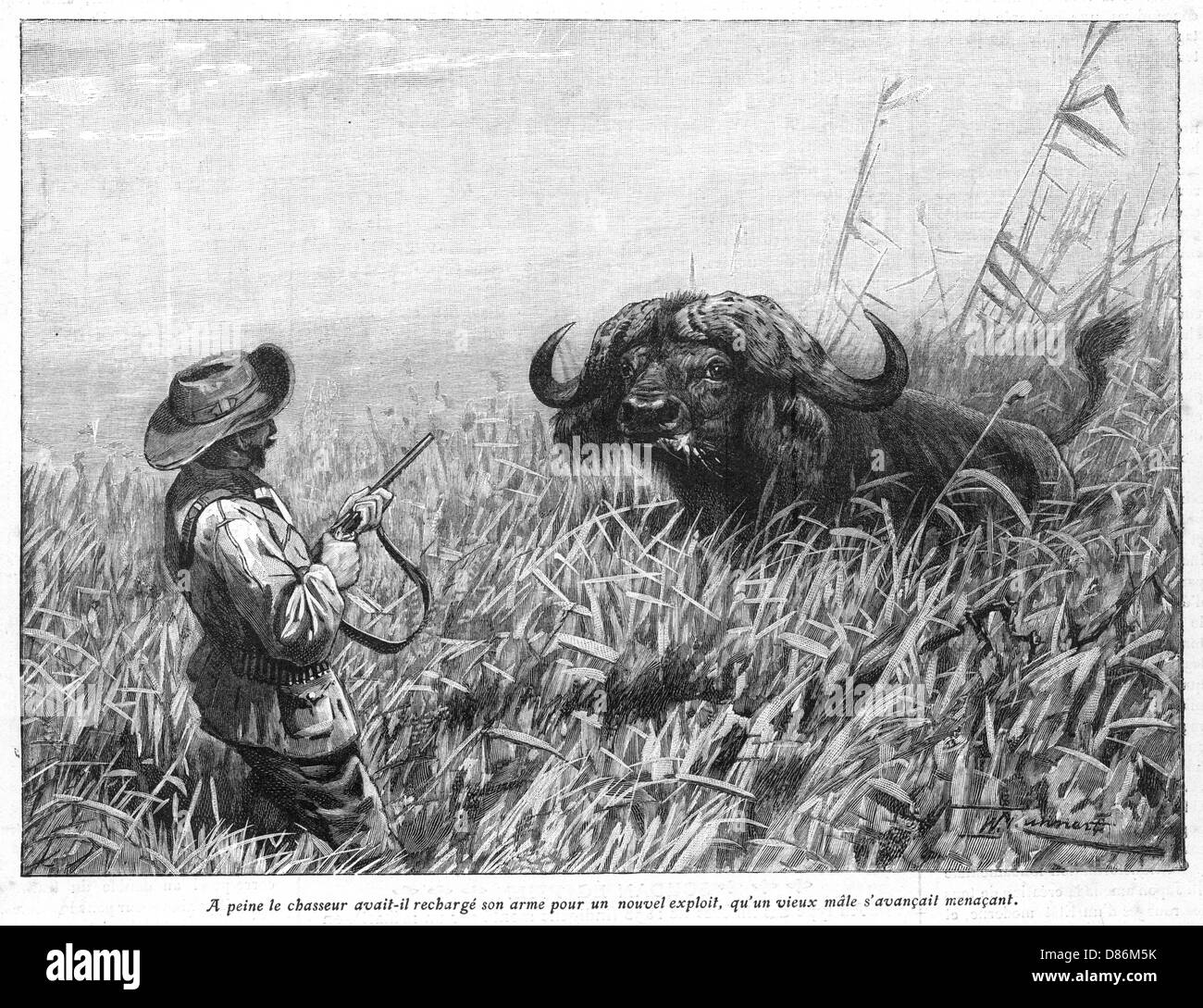 Buffalo hunter hi-res stock photography and images - Alamy