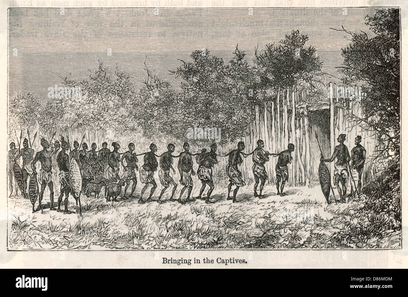 Captured slaves hi-res stock photography and images - Alamy