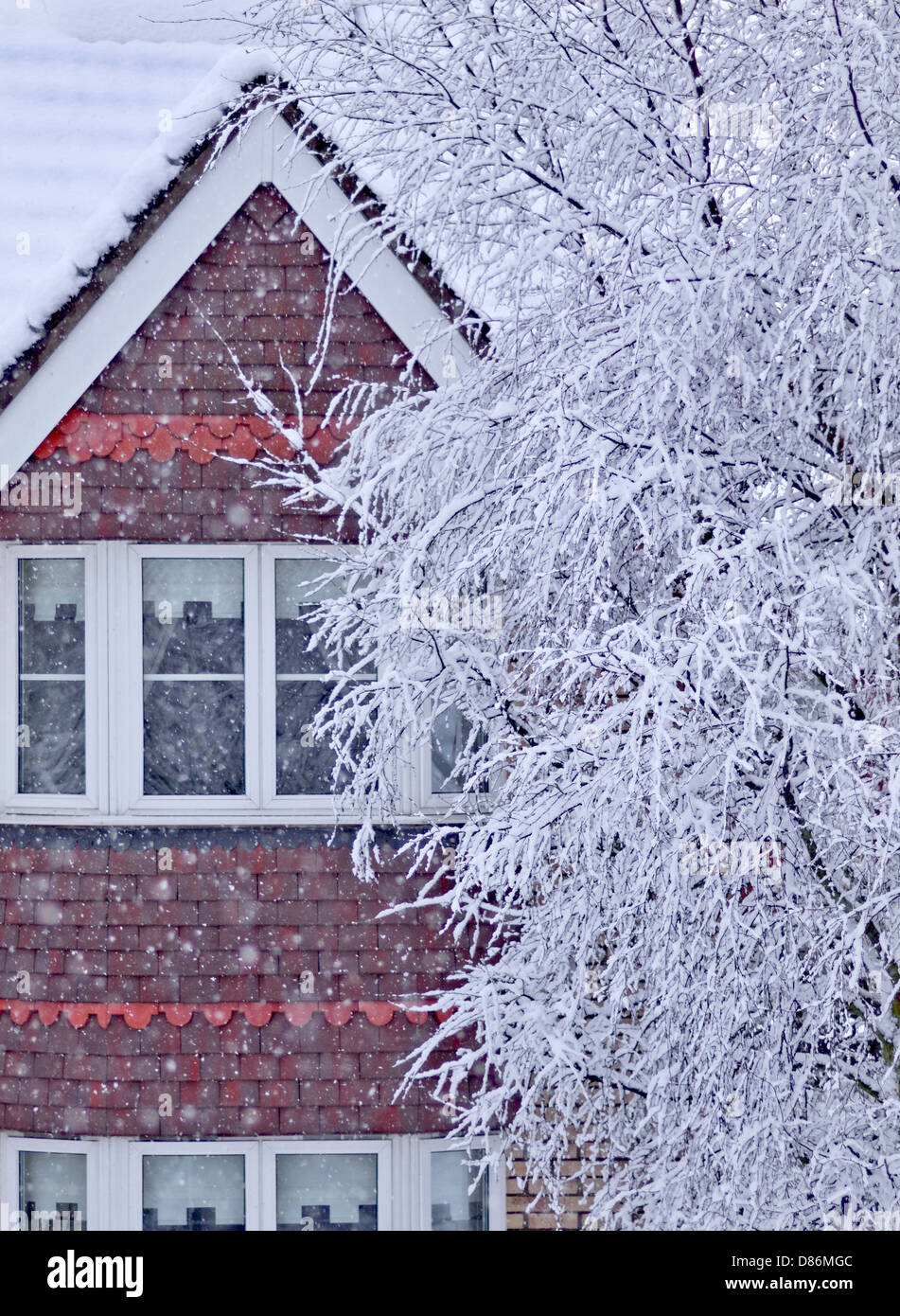 Snowing, House with white window and beautiful snow pattern on tree ...