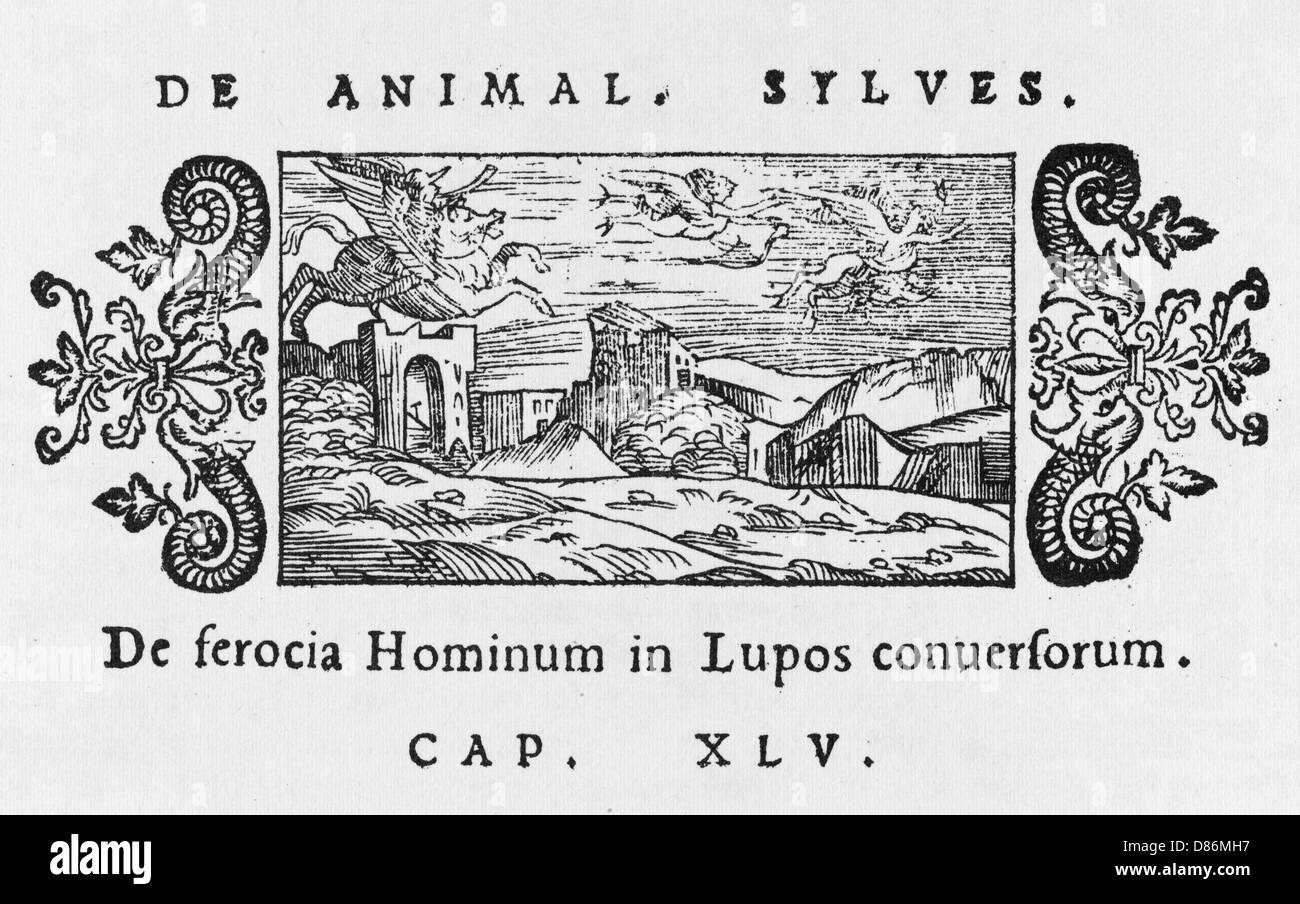 Werewolves folklore hi-res stock photography and images - Alamy