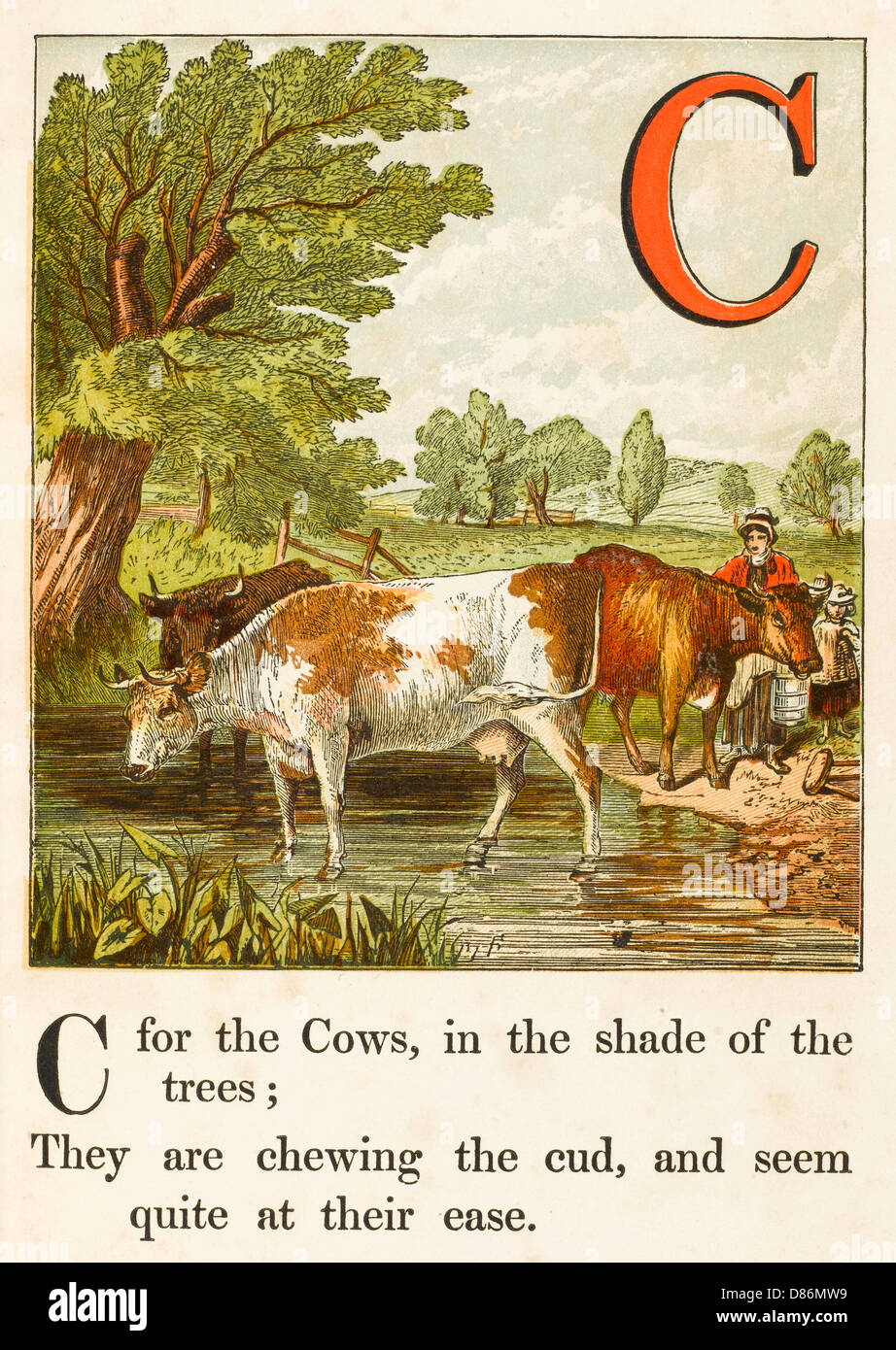 ALPHABET/C FOR COWS Stock Photo - Alamy