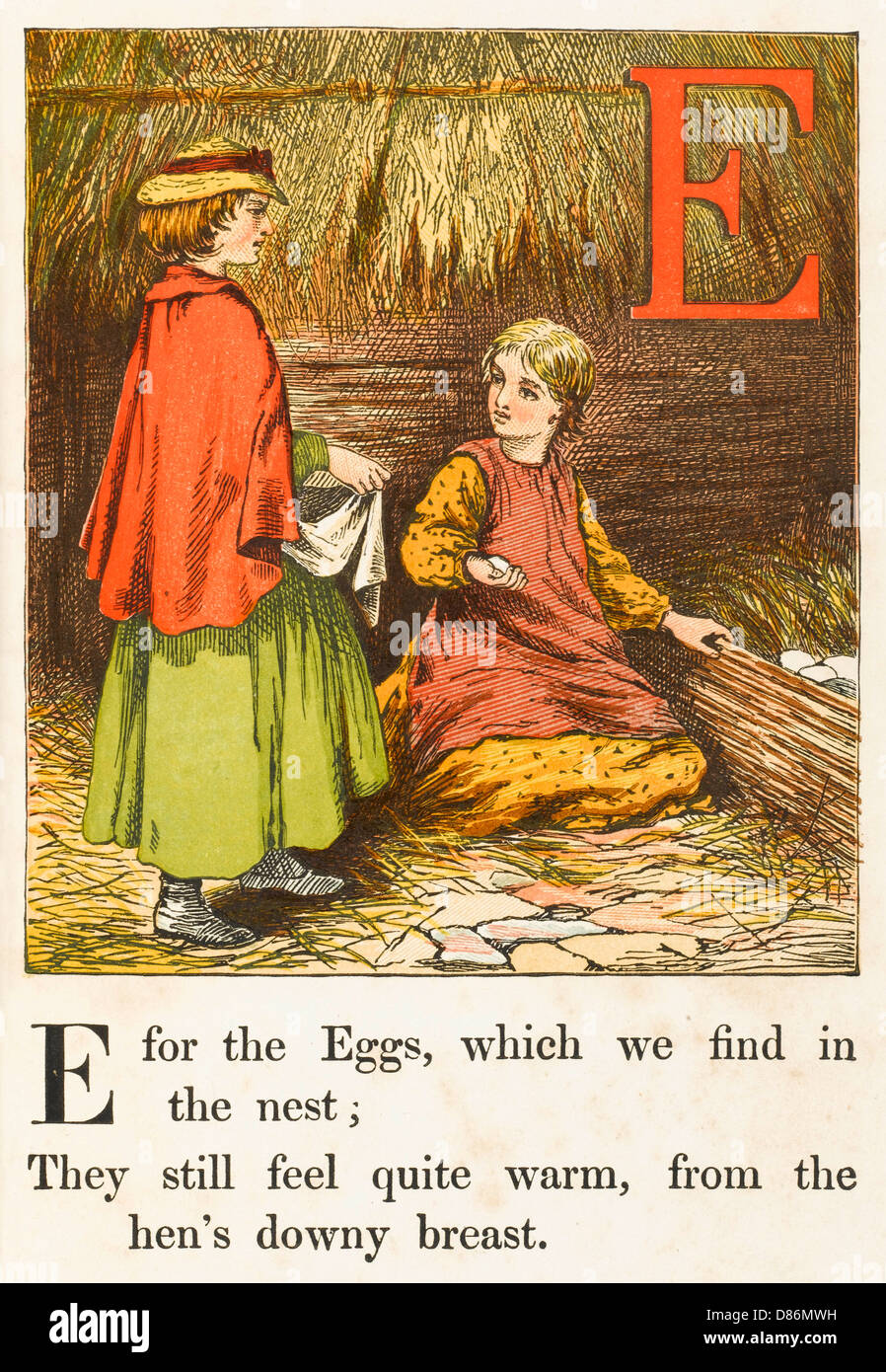 ALPHABET/E FOR EGGS Stock Photo - Alamy