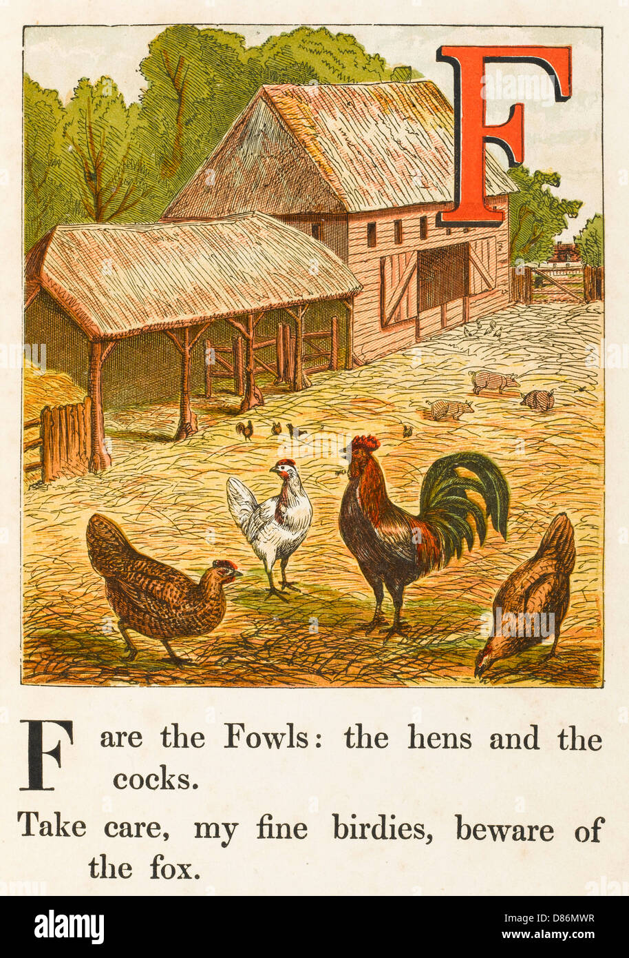 ALPHABET/F FOR FOWL Stock Photo - Alamy