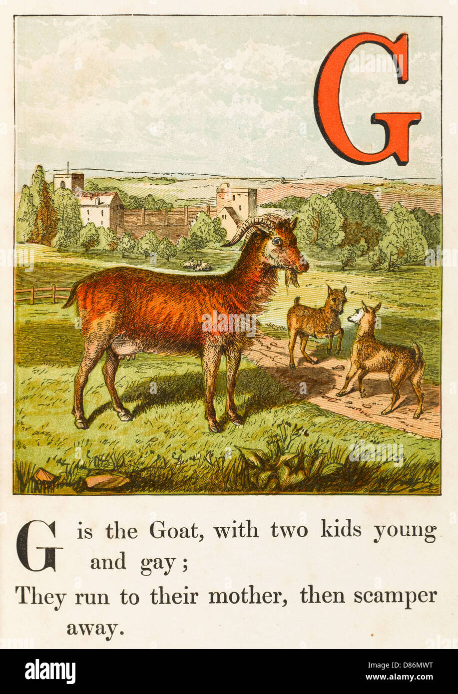 ALPHABET/G FOR THE GOAT Stock Photo - Alamy