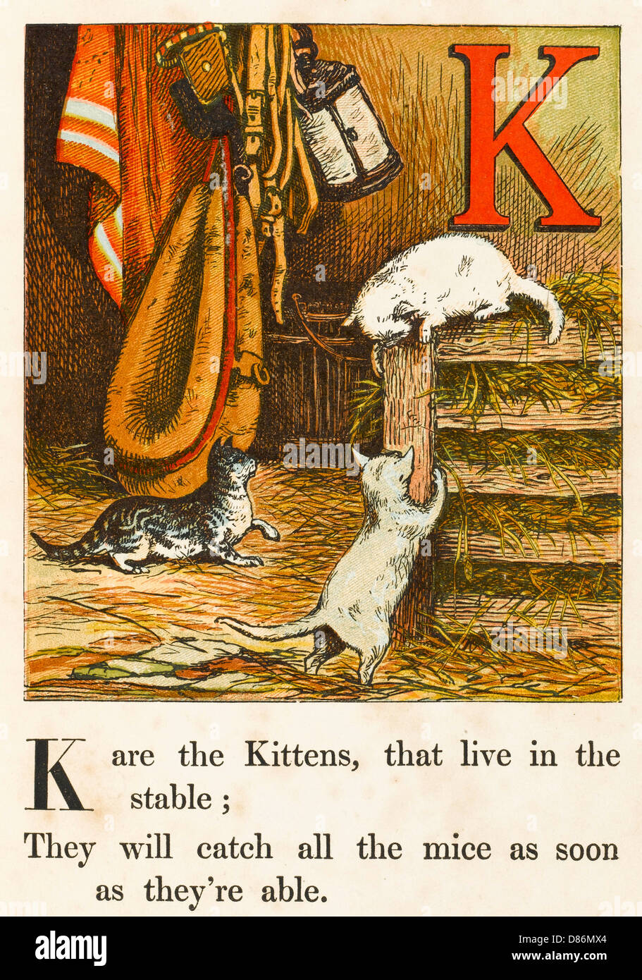 ALPHABET/K FOR KITTENS Stock Photo - Alamy