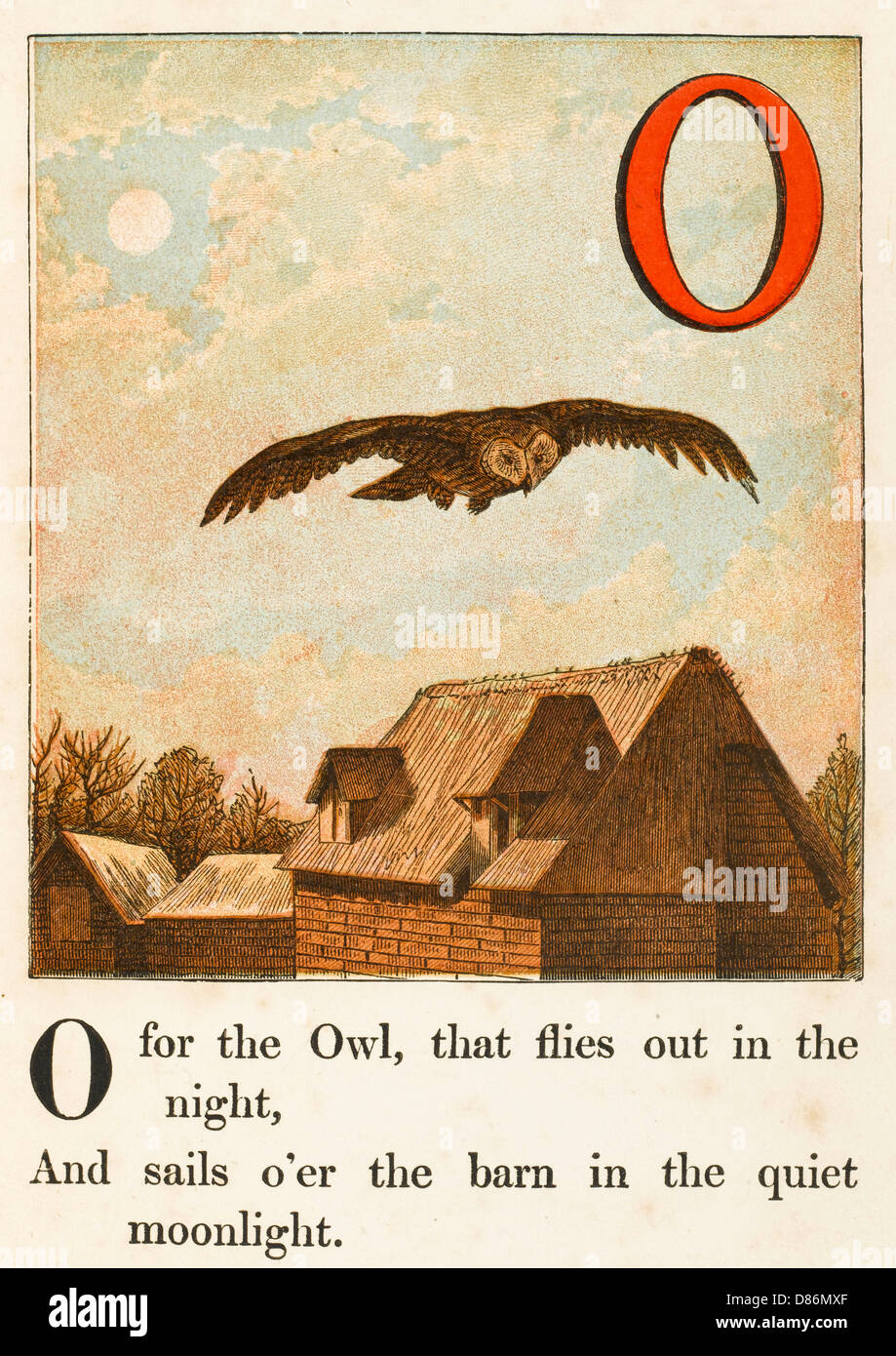 ALPHABET/O FOR OWL Stock Photo - Alamy