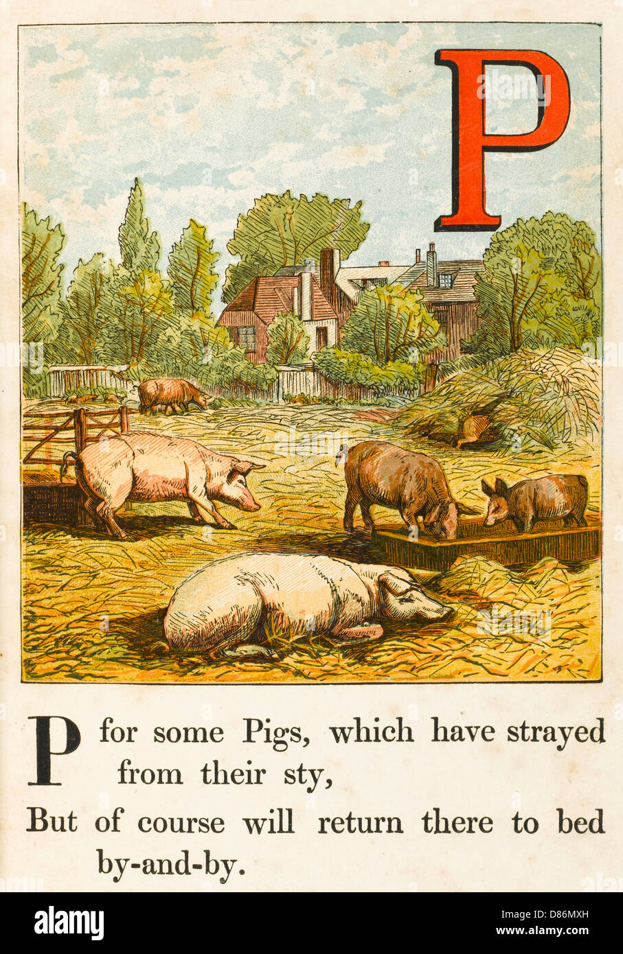 ALPHABET/P FOR PIGS Stock Photo - Alamy