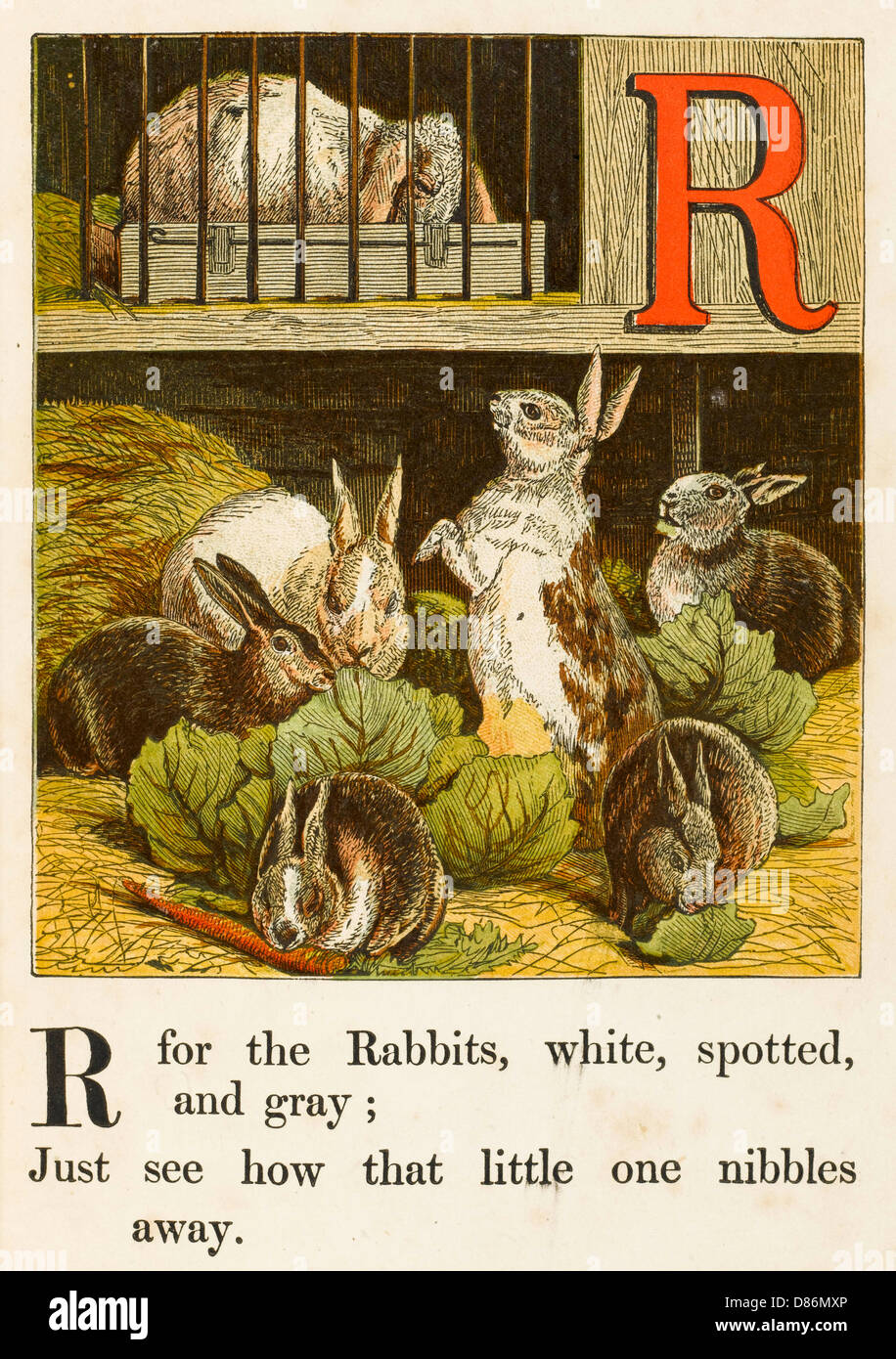 Alphabet r hi-res stock photography and images - Alamy