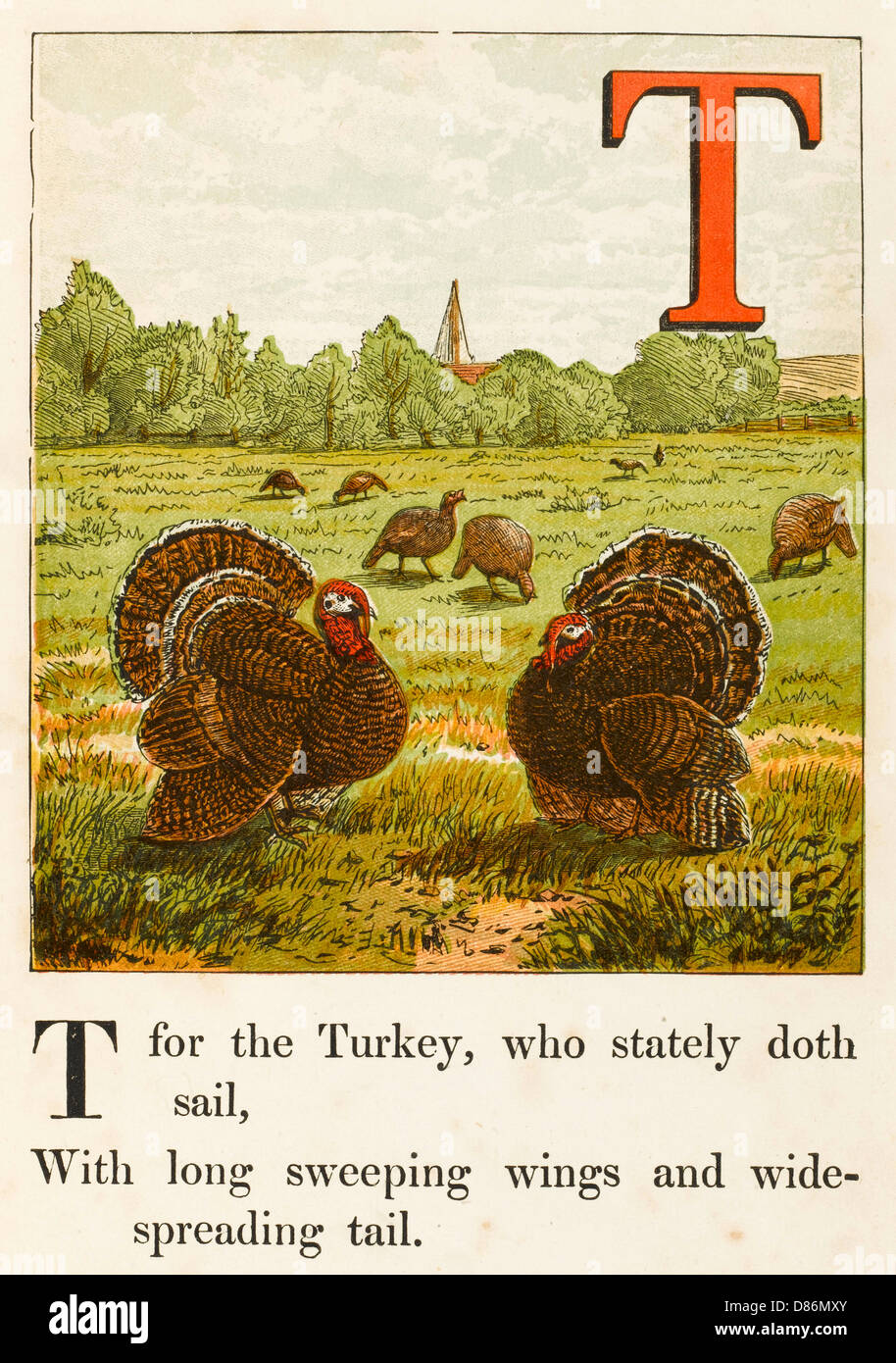 ALPHABET/T FOR TURKEY Stock Photo - Alamy