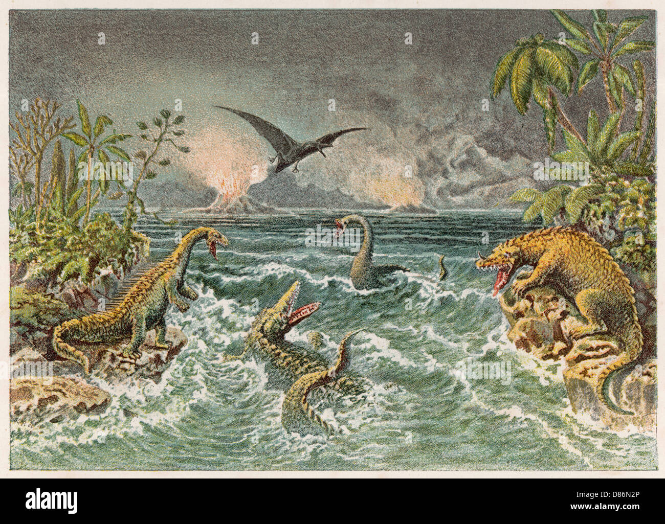 Extinct life hi-res stock photography and images - Alamy
