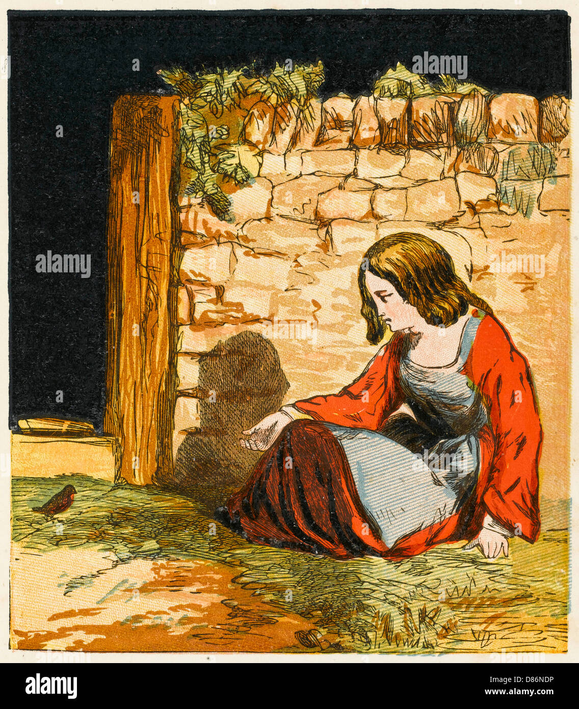 HELPING SMALL ROBIN Stock Photo - Alamy