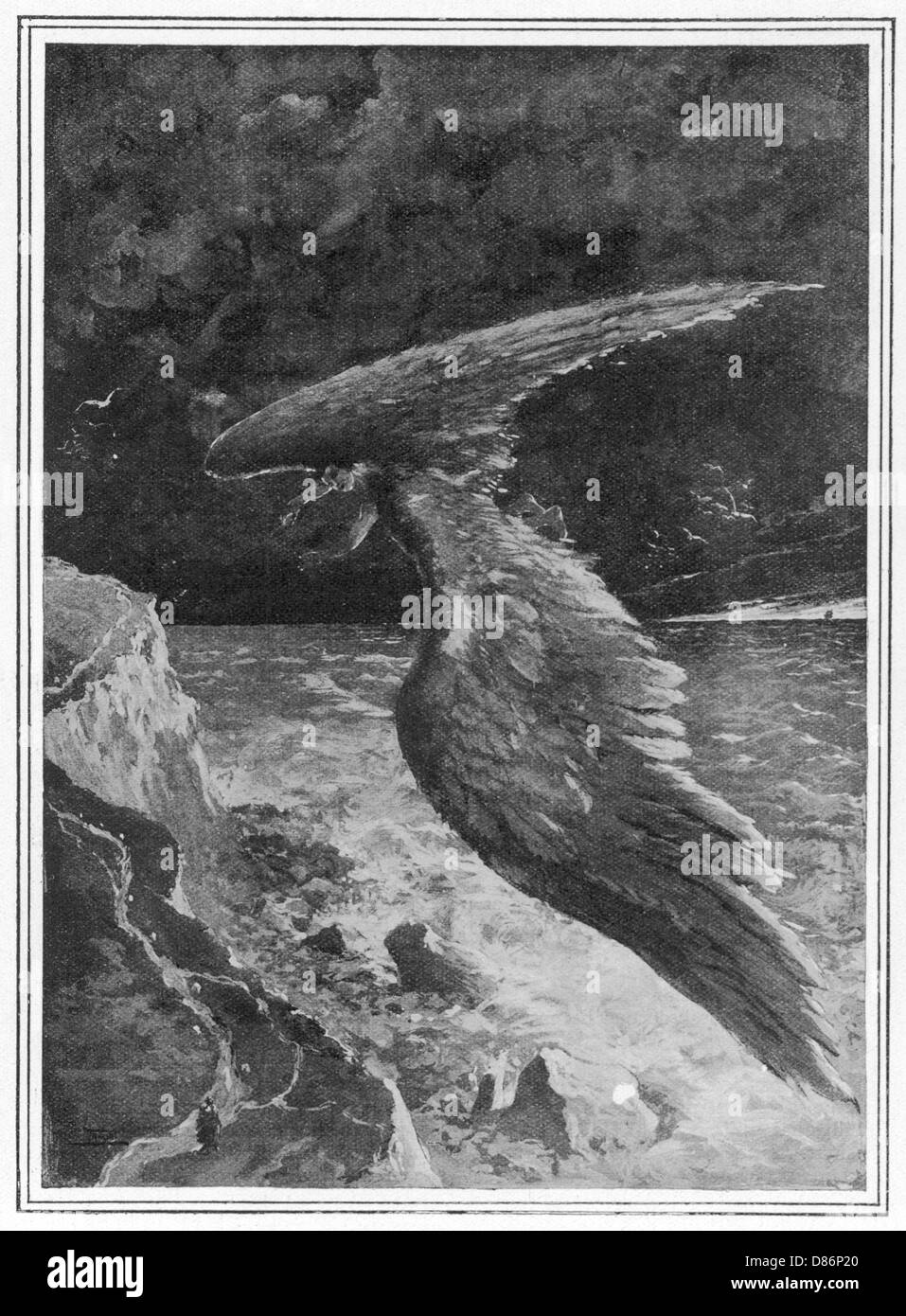 My wings Black and White Stock Photos & Images - Alamy