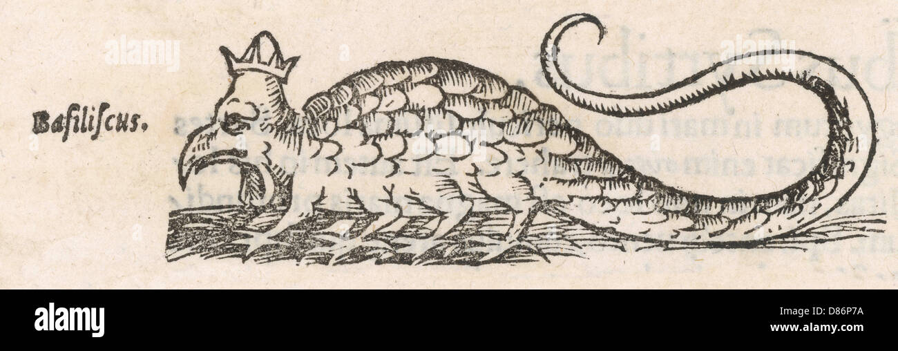 Basilisk depicted wings hi-res stock photography and images - Alamy