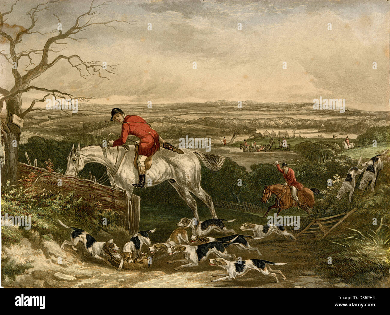 Hunting with foxhounds hi-res stock photography and images - Alamy