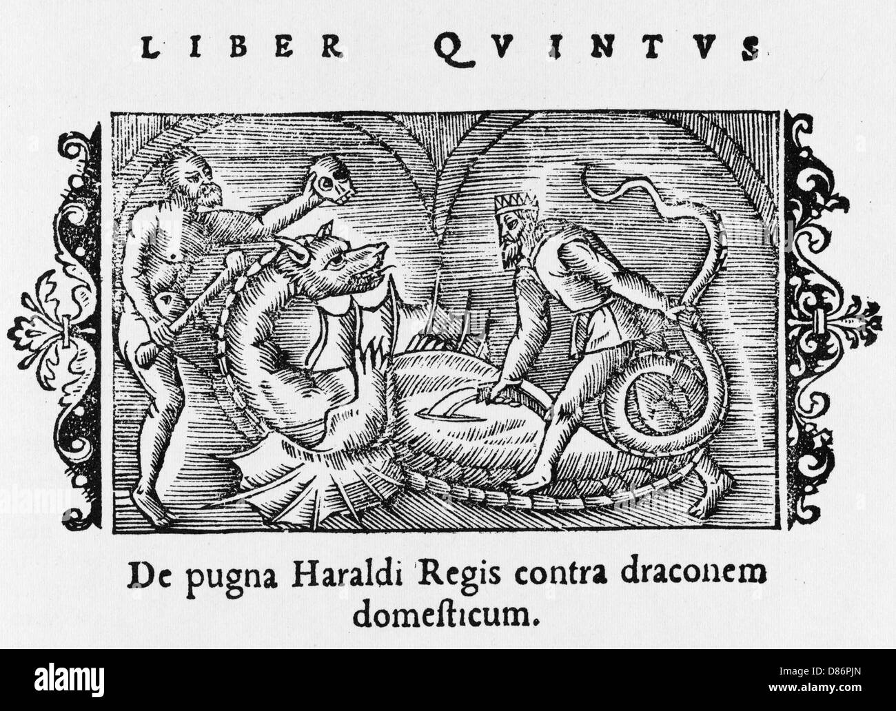 Folklore Dragons History Historical High Resolution Stock Photography ...