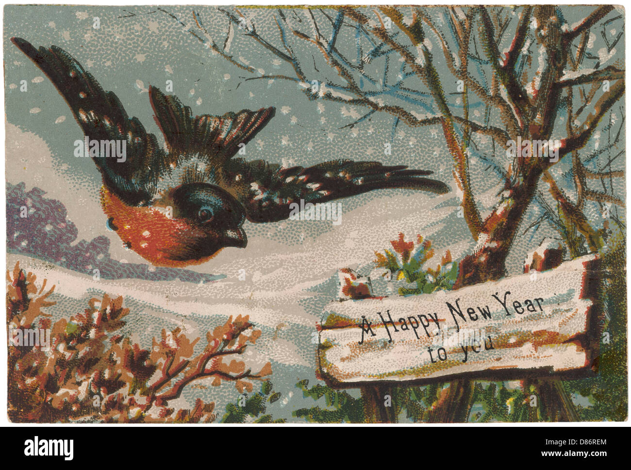 Robin Flying in Snow Stock Photo - Alamy