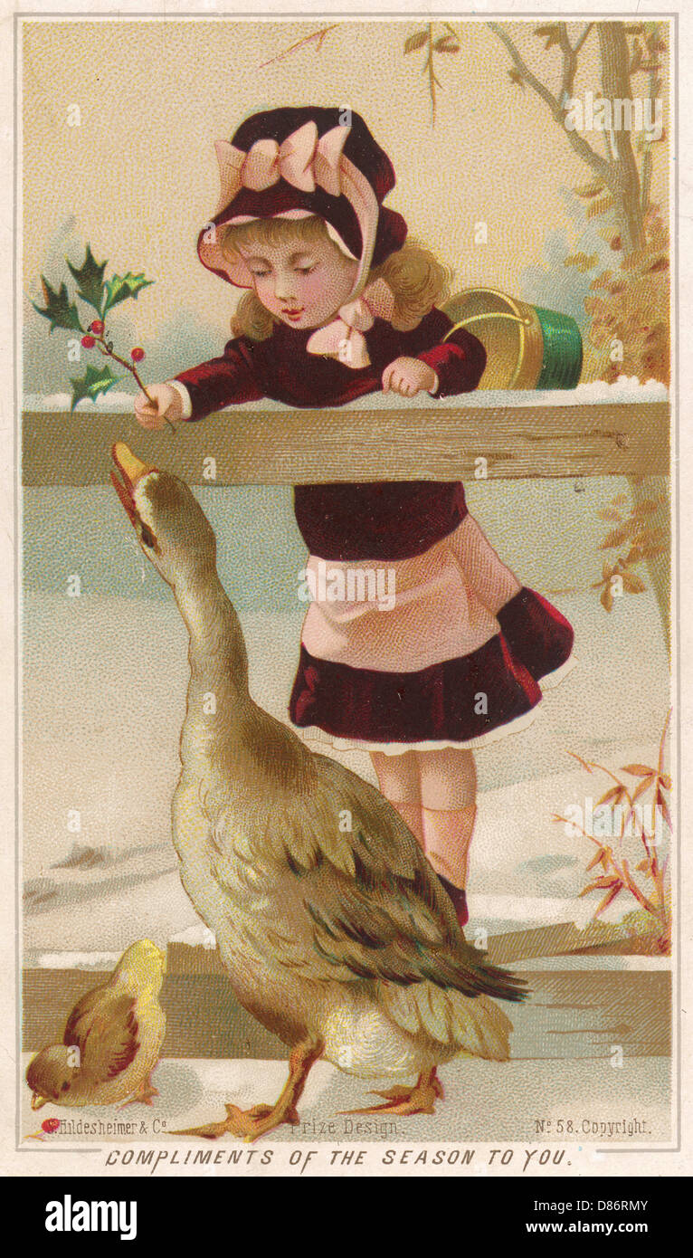GIRL AND GOOSE Stock Photo - Alamy