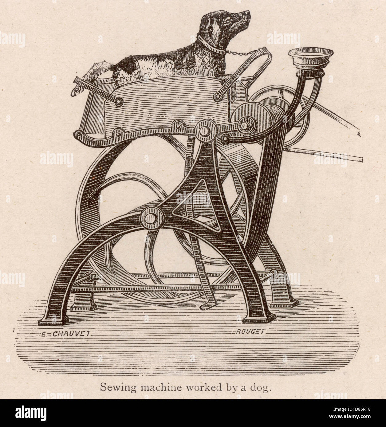 SEWING MACHINE DOG POWER Stock Photo - Alamy