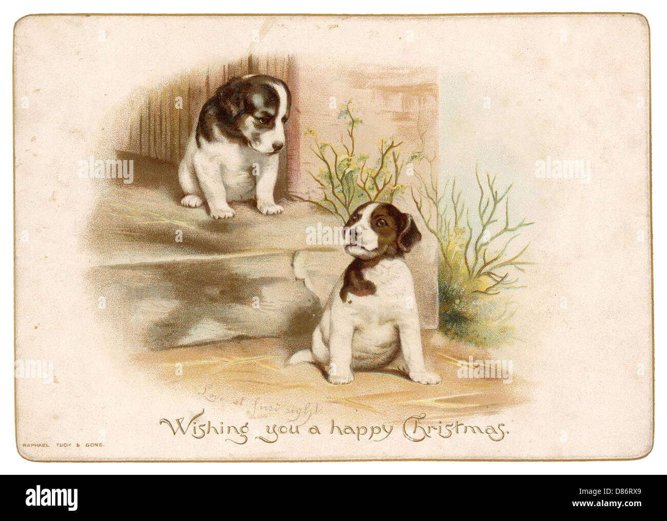 Card - Dogs Stock Photo - Alamy