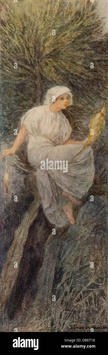 WILLOW TREE FAIRY Stock Photo - Alamy