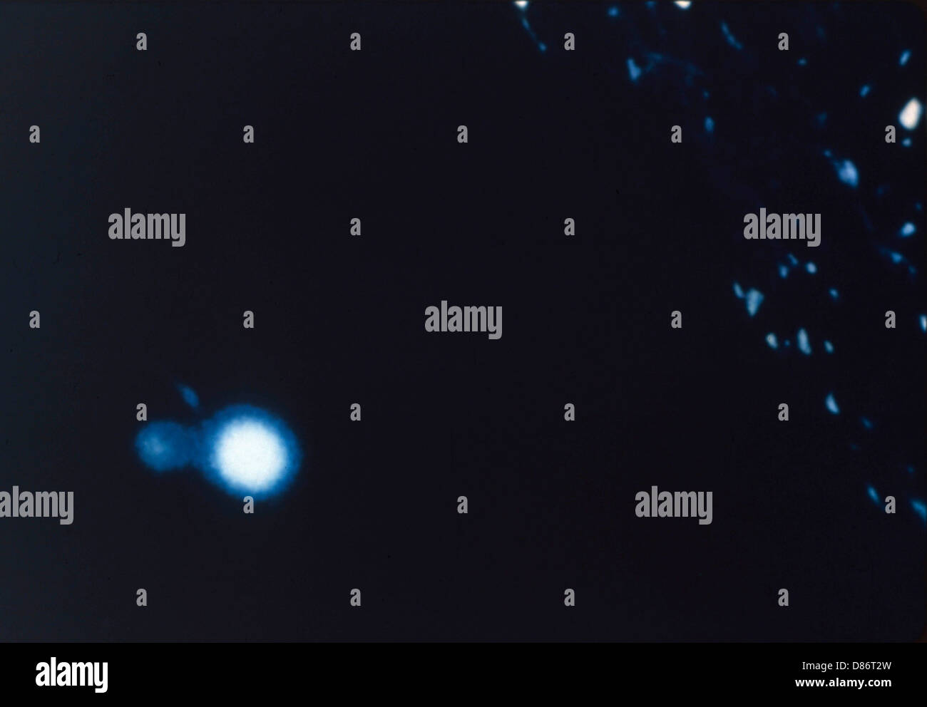 Apollo ii hi-res stock photography and images - Alamy