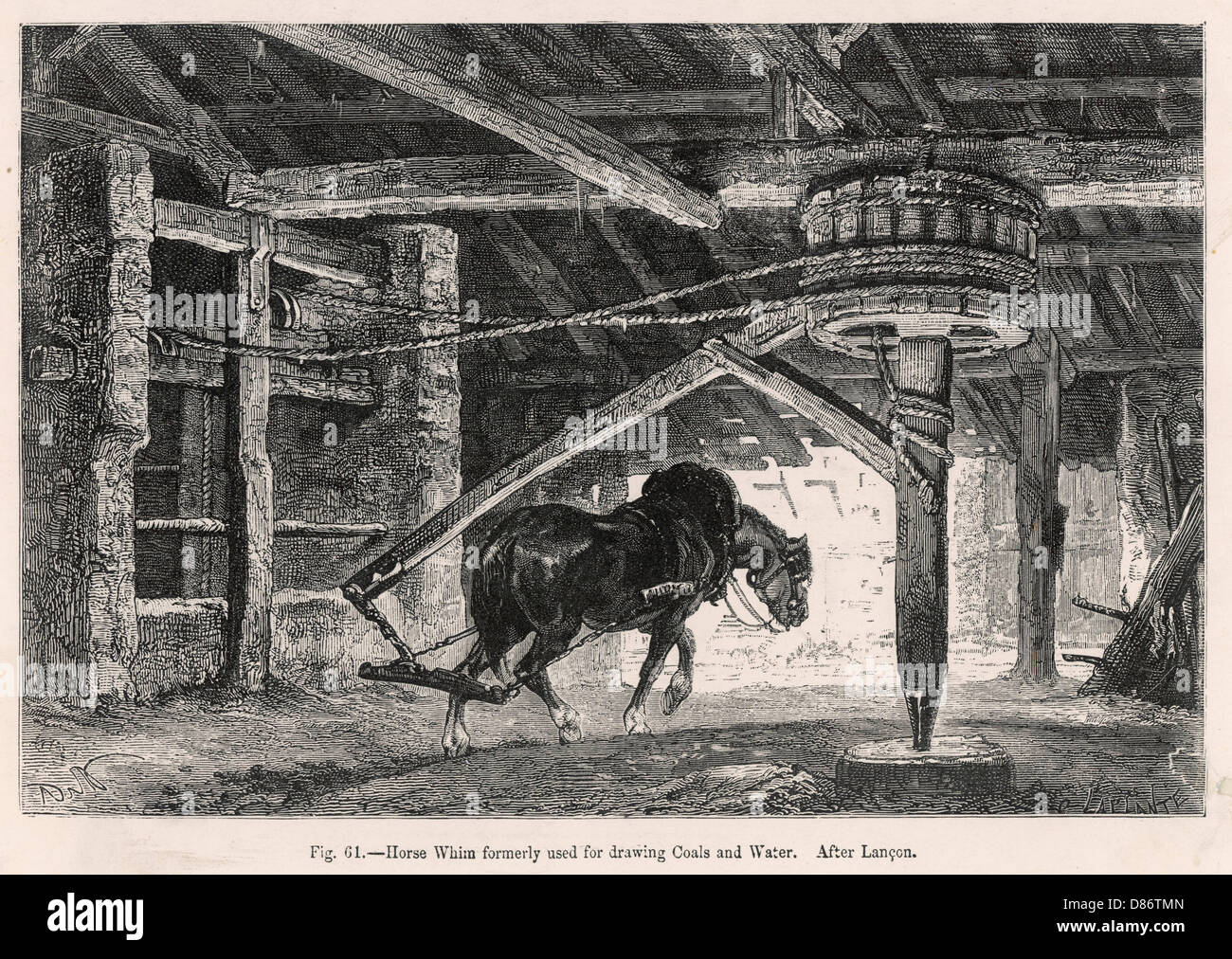 Horse whim hi-res stock photography and images - Alamy