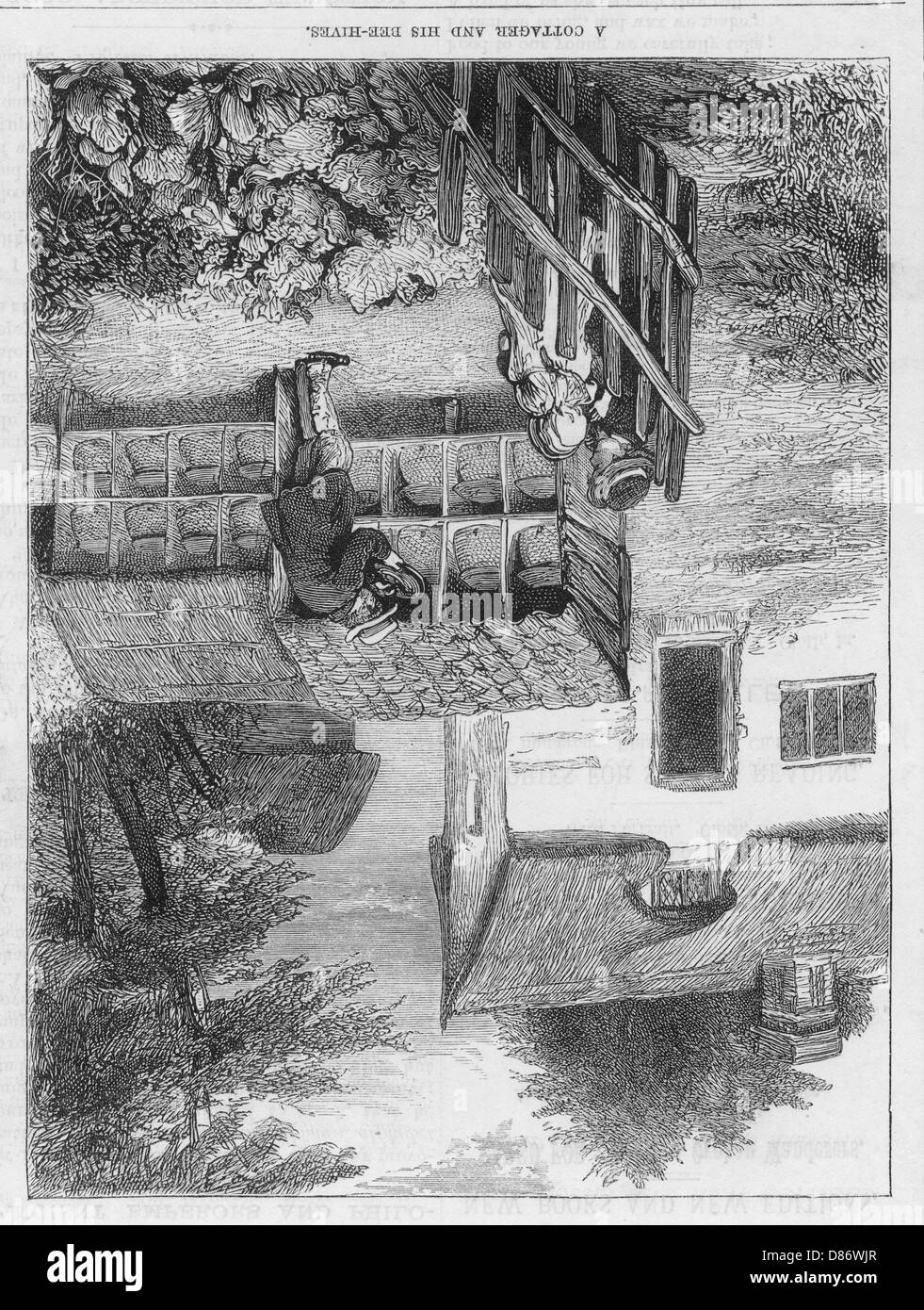 Cottagers hi-res stock photography and images - Alamy