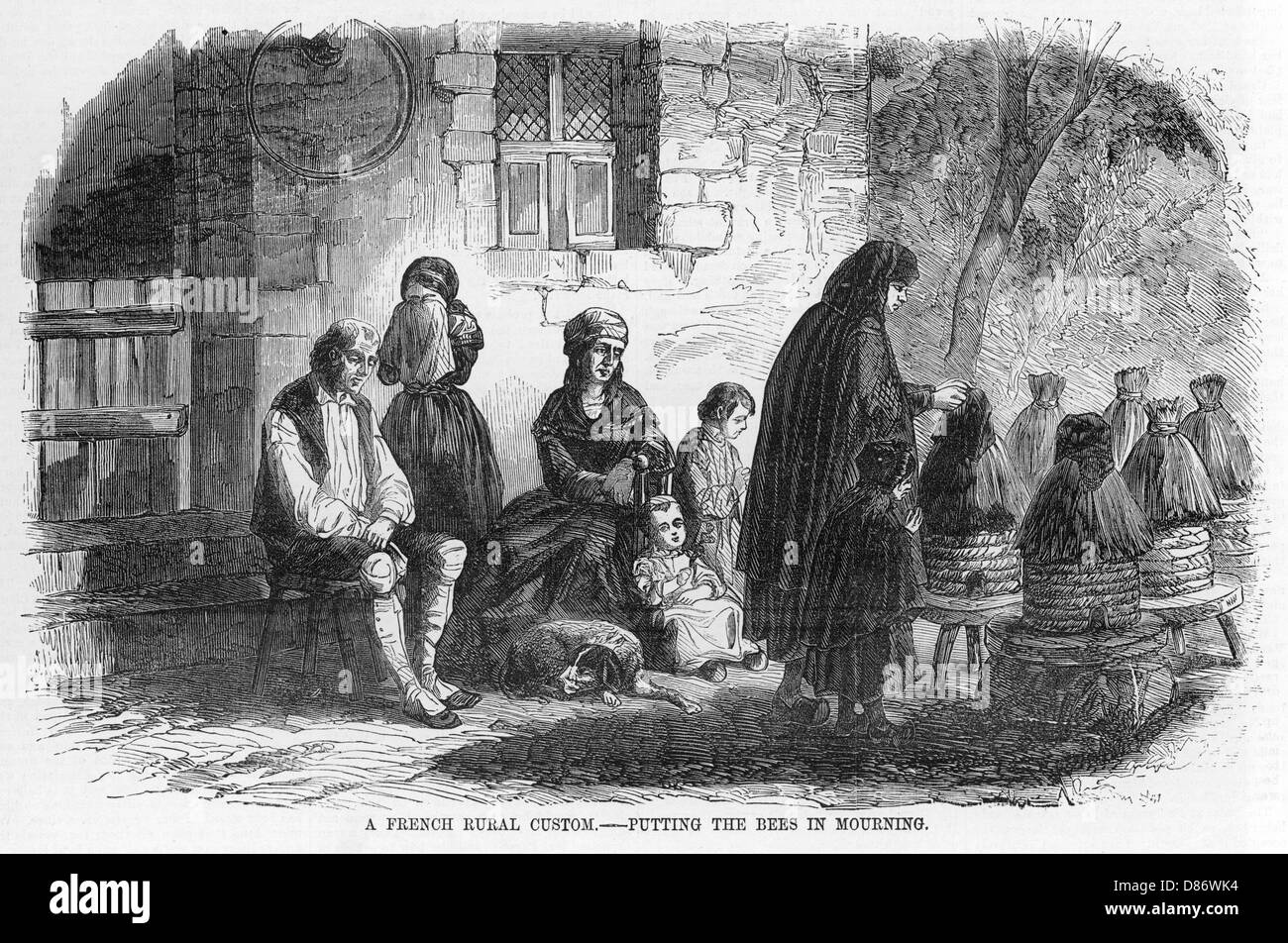 Mourning crepe hi-res stock photography and images - Alamy