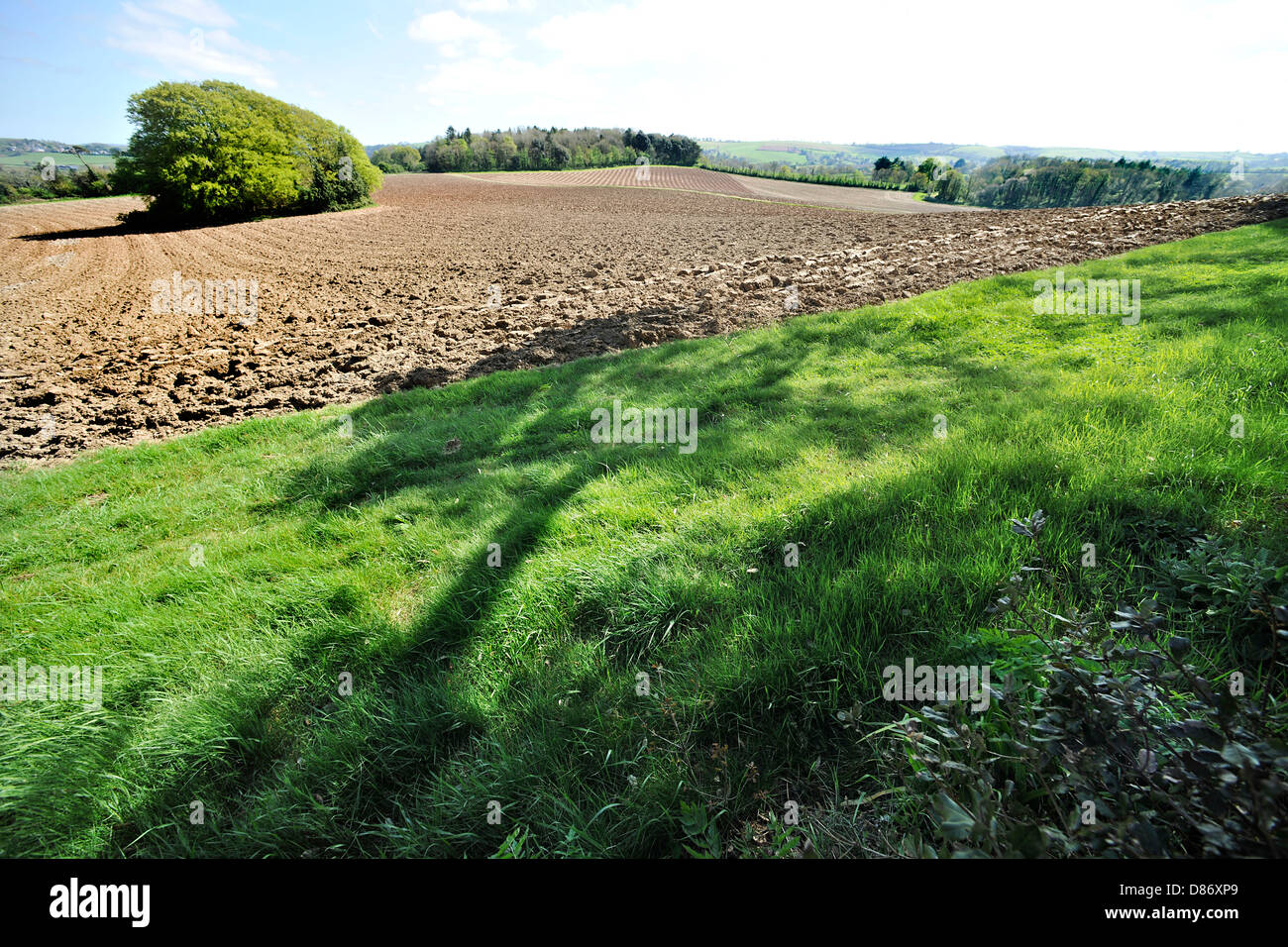 Typical english countryside hi-res stock photography and images - Alamy