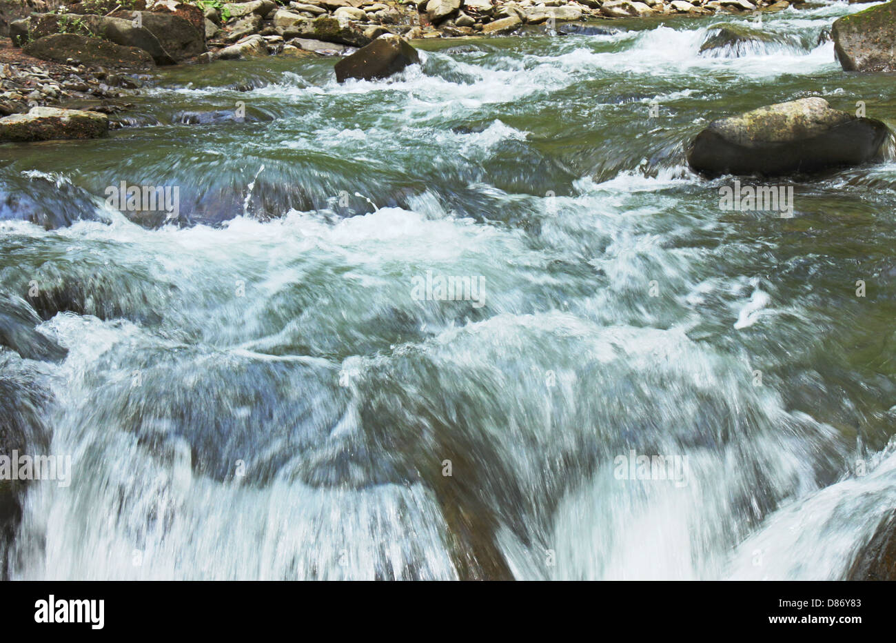 small rapid river in mountains Stock Photo - Alamy