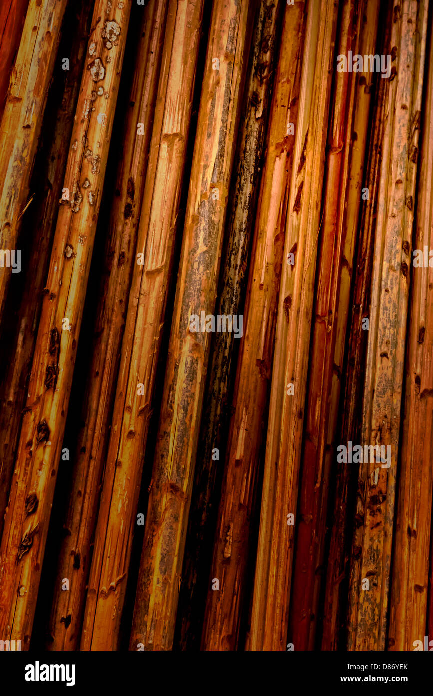 Golden oak wood texture hi-res stock photography and images - Alamy