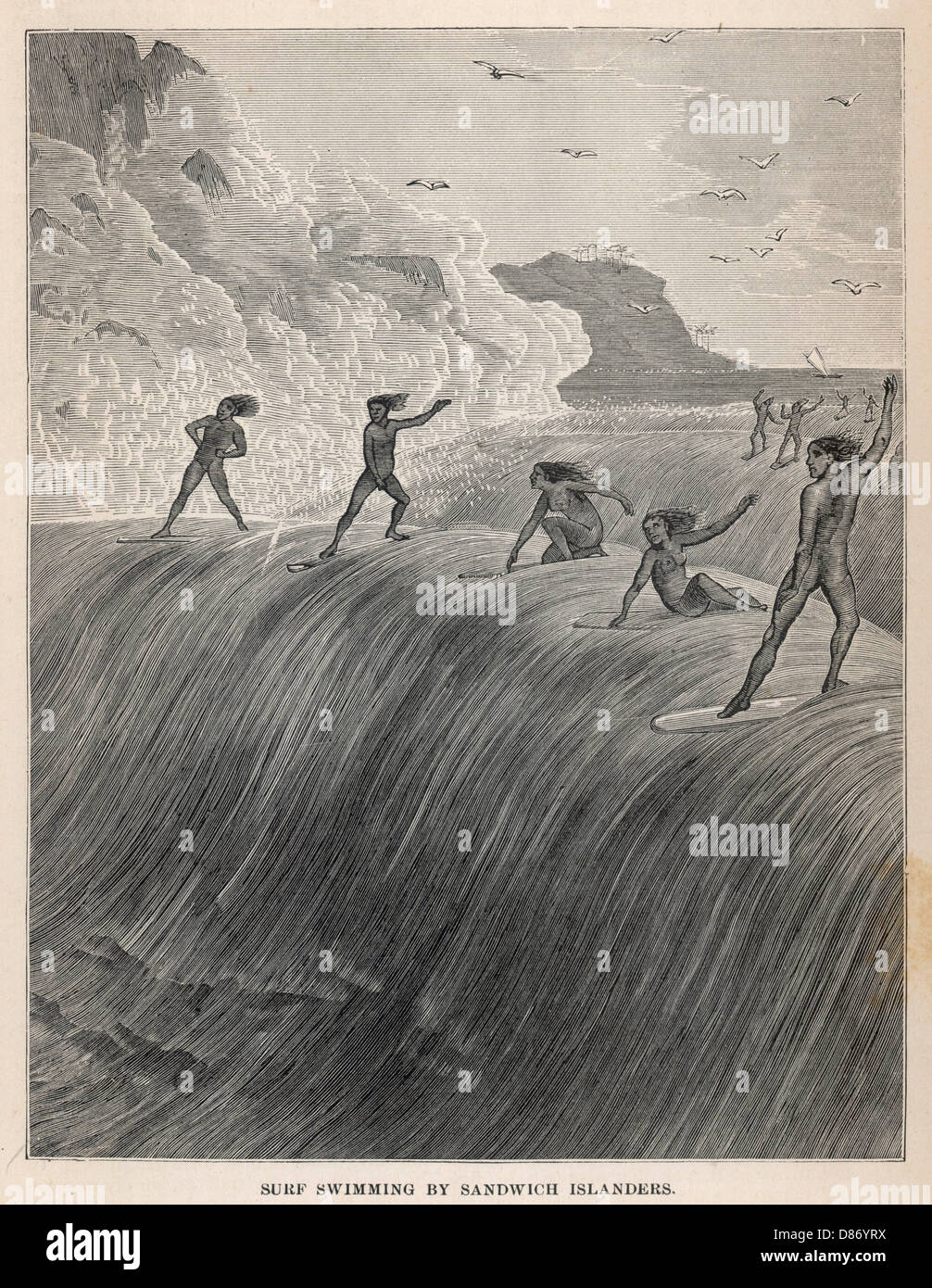 Surfing Sandwich Is Stock Photo - Alamy