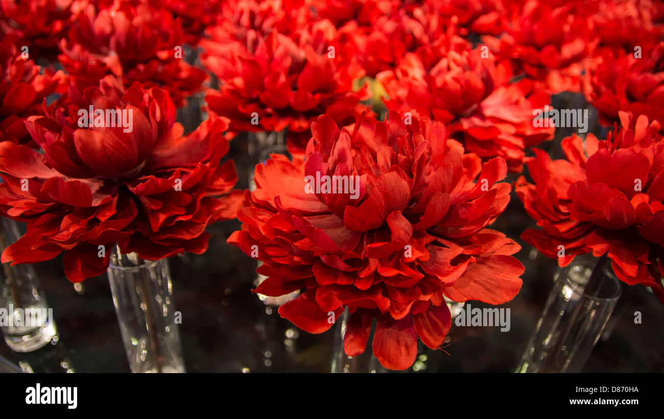 USA, California, San Francisco, Red flower deco, close up Stock Photo ...
