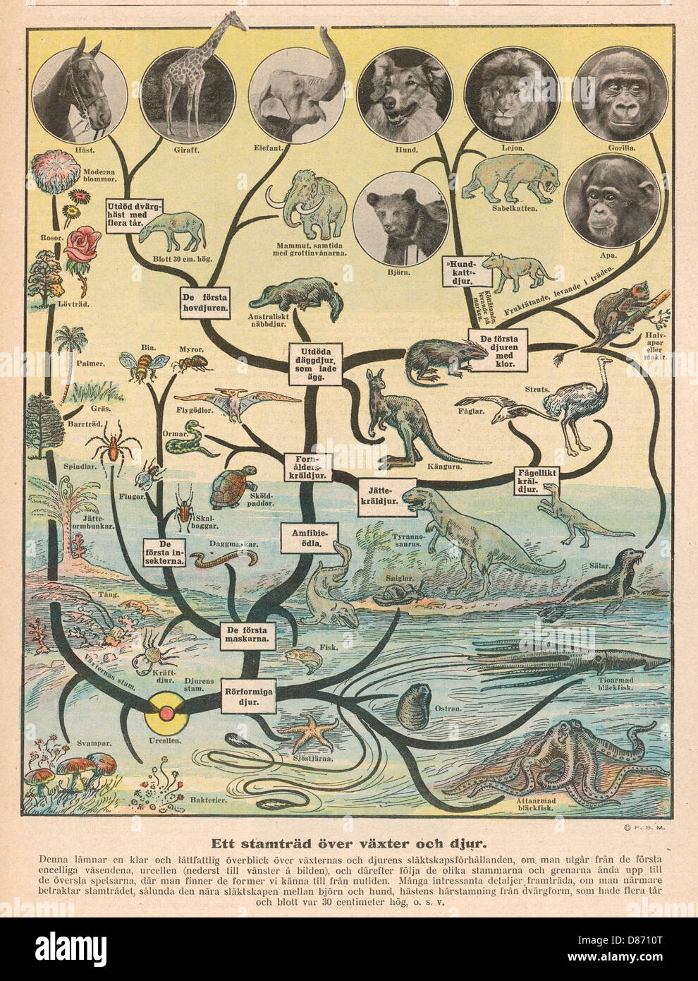 Its not rocket science hi-res stock photography and images - Alamy