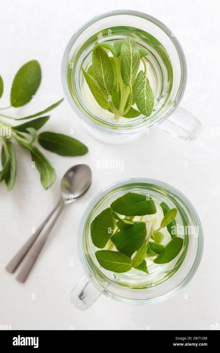 Herbal Tea Sage High Resolution Stock Photography and Images - Alamy