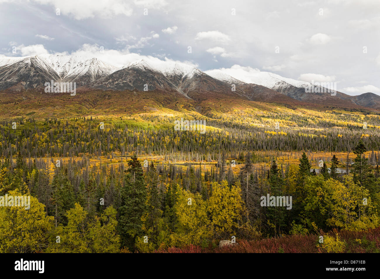 Canada, View of landscape Stock Photo - Alamy