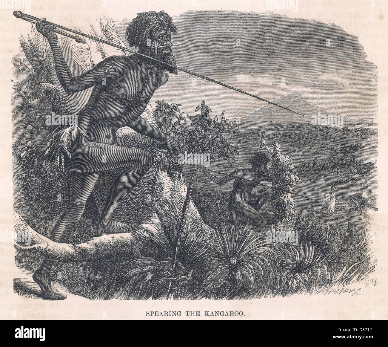 Aborigines Australia Hunting Stock Photos & Aborigines Australia ...