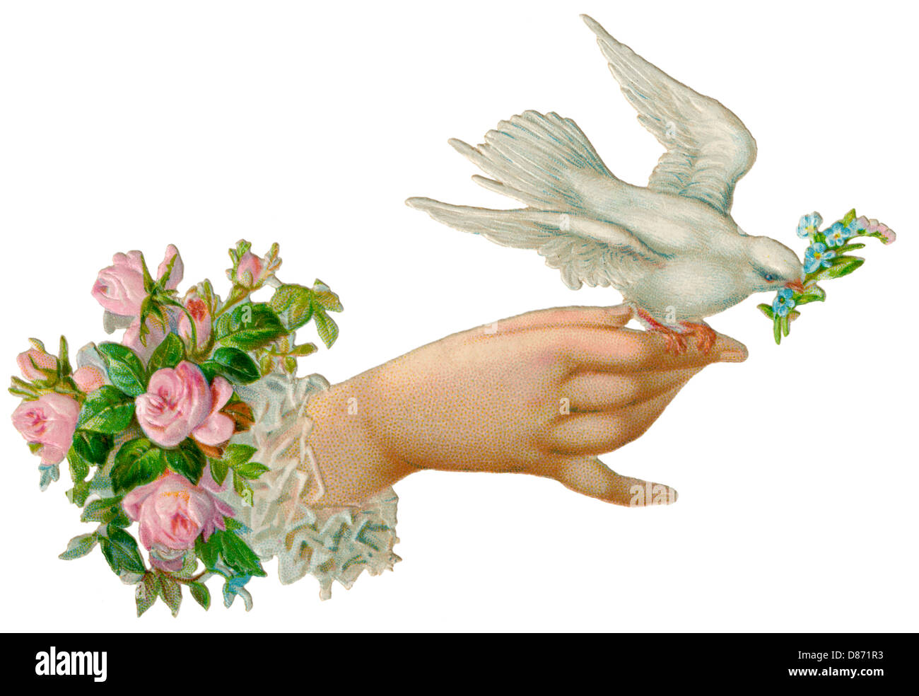 Hand and Dove Stock Photo - Alamy
