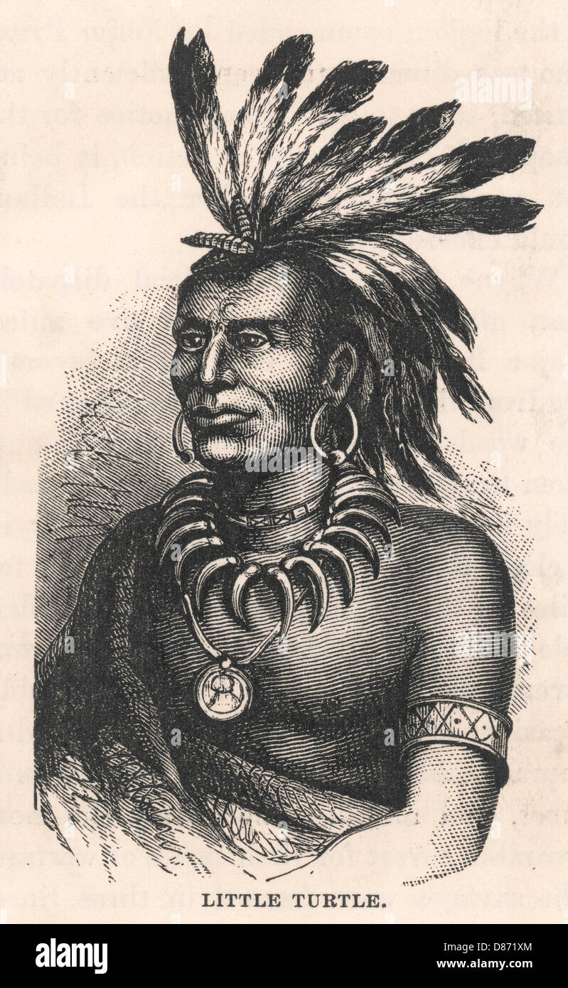 Chief Little Turtle