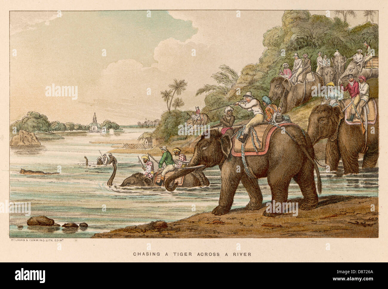 Williamson tiger river hi-res stock photography and images - Alamy