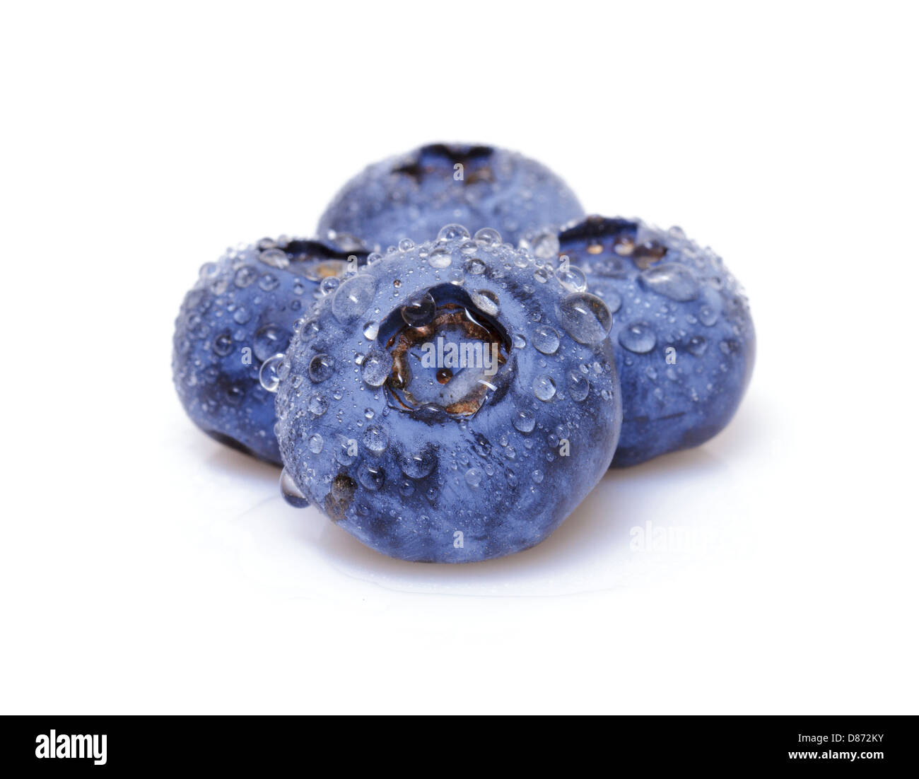 Fresh blueberry on white background Stock Photo - Alamy