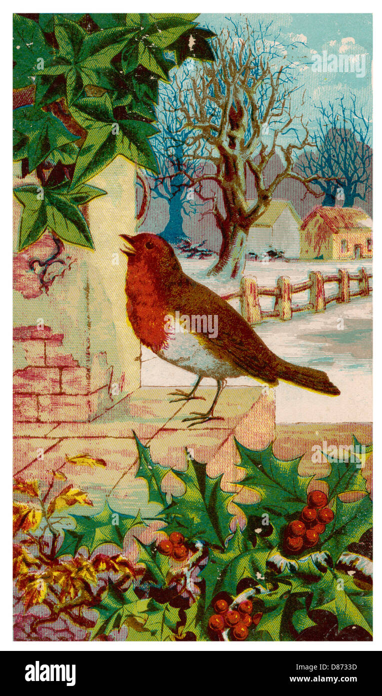 Robin winter scene hi-res stock photography and images - Alamy