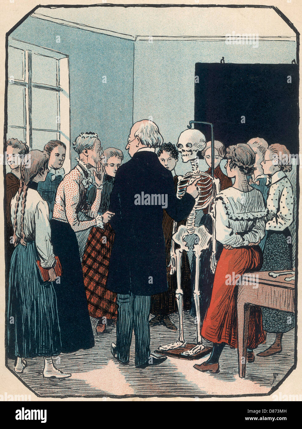 ANATOMY FOR WOMEN Stock Photo - Alamy