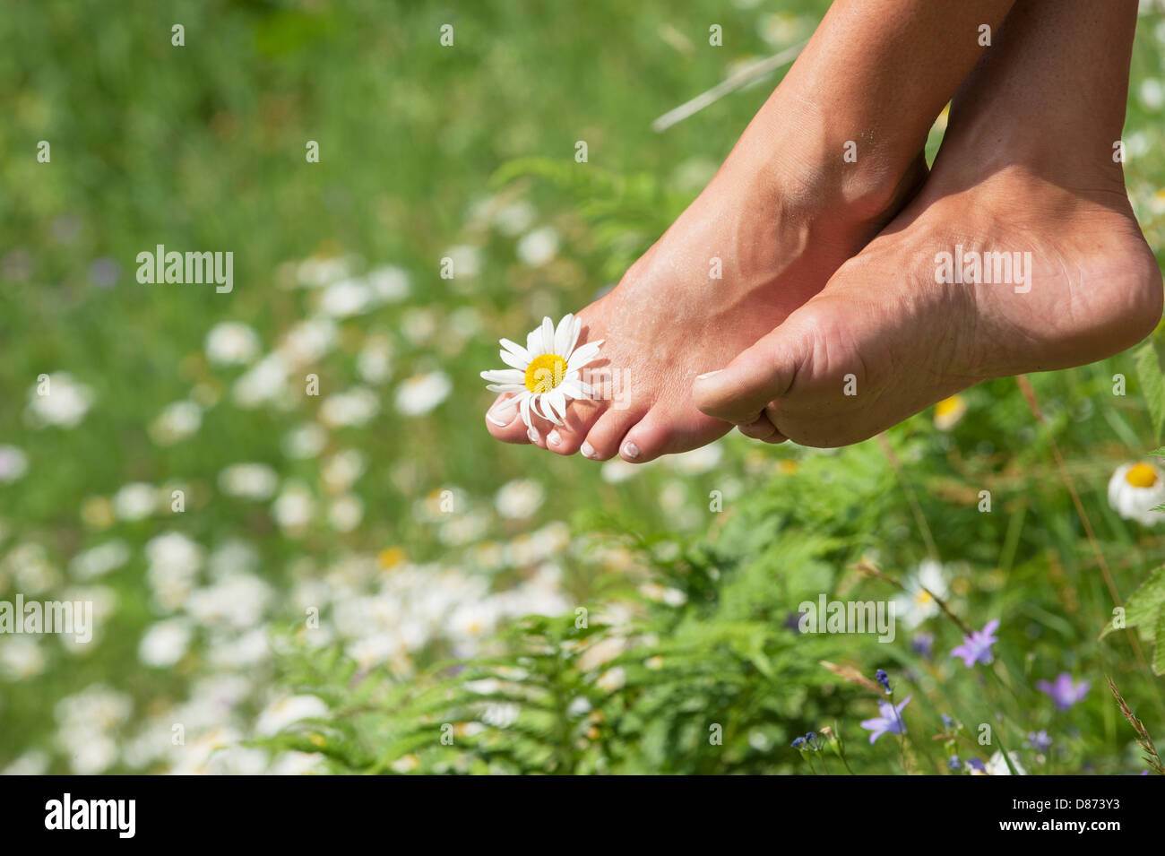 Holding flower between toes hi-res stock photography and images - Alamy